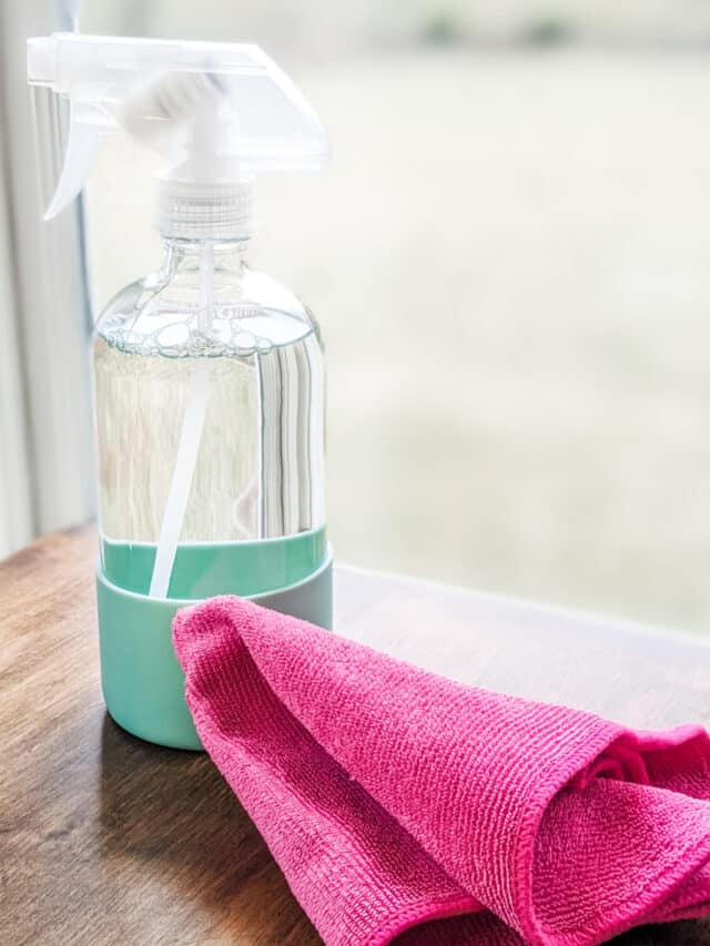 Homemade Cleaners Archives - Frugally Blonde