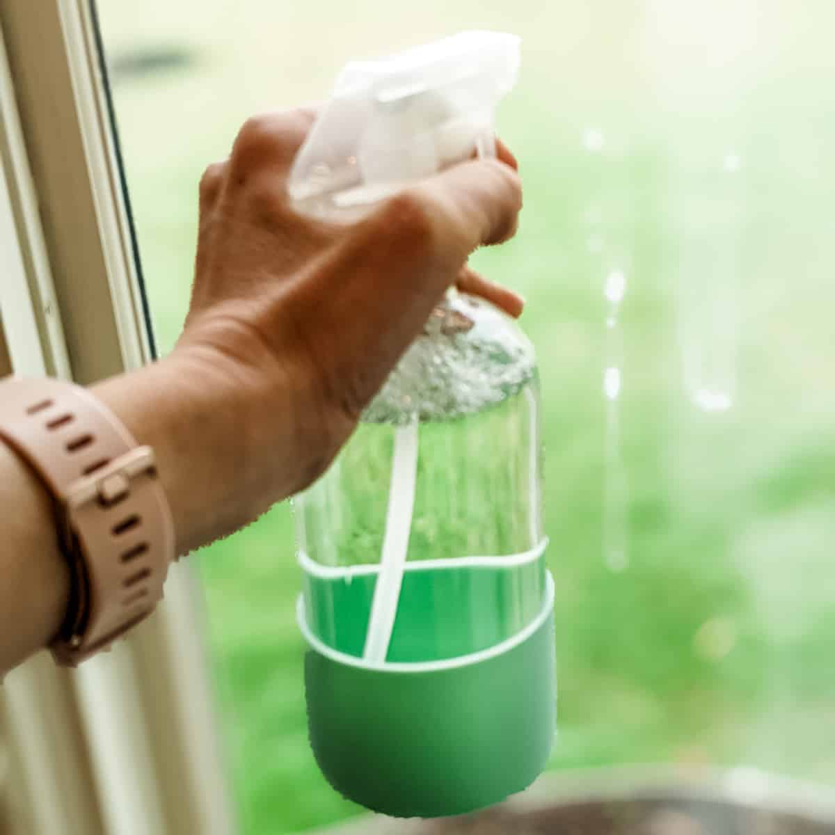 Best Homemade Window Cleaner Recipe (Simple Ingredients) - Frugally Blonde